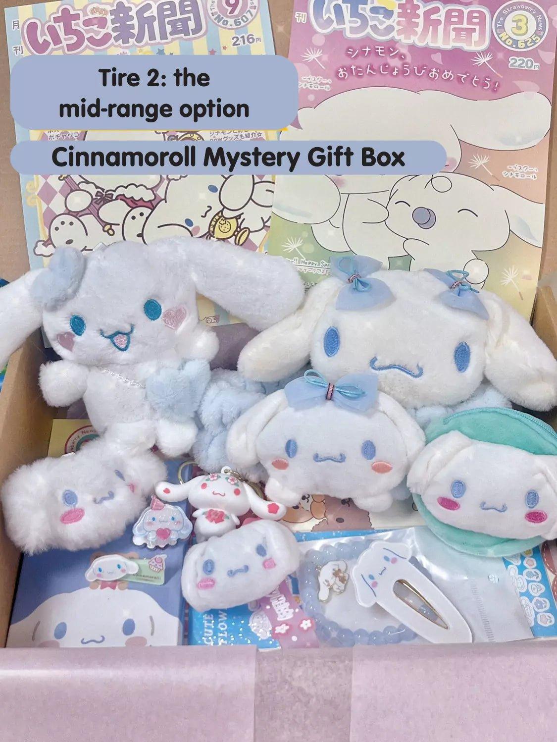 Cinnamoroll Mystery Gift Box – In Kawaii Shop